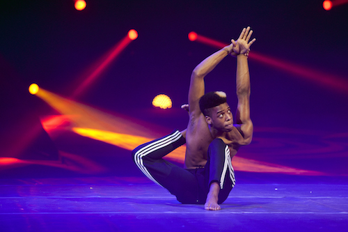 Gallery of the 37th Festival du Cirque de Demain