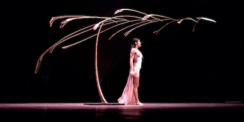 Gallery of the 40th Festival Mondial du Cirque de Demain